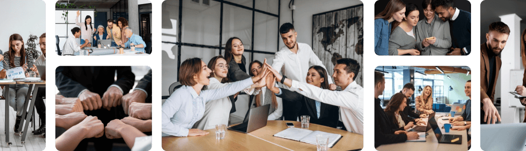 Employee Insights - Psychometric Work Behavior Quizzes